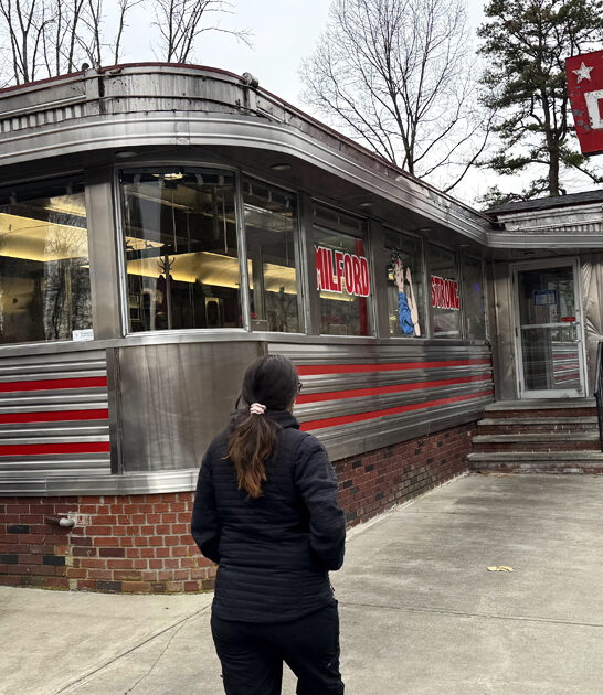 pennsylvania diner cheesesteak ftr