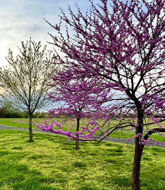 pennsylvania dreamy state park ftr