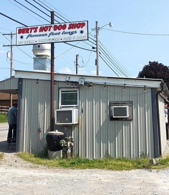 pennsylvania hot dog restaurants ftr