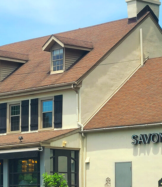 pennsylvania legendary tasty scallops ftr