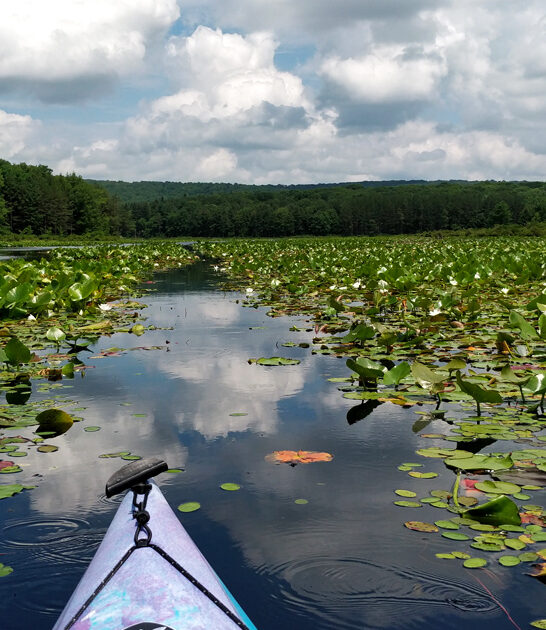 pennsylvania scenic nature lovers ftr