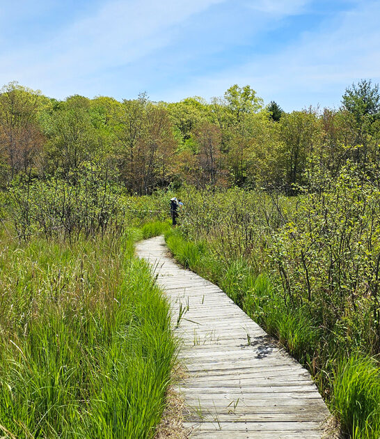 pennsylvanianature lovers park ftr
