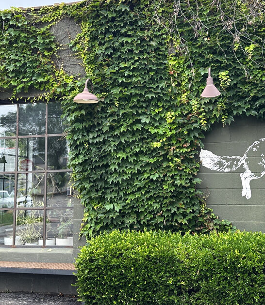 perfect danish pastry ohio ftr