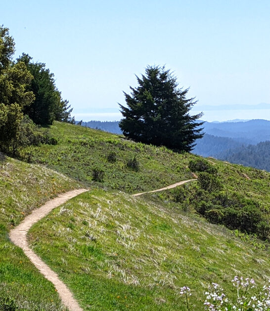 perfect gorgeous california park ftr