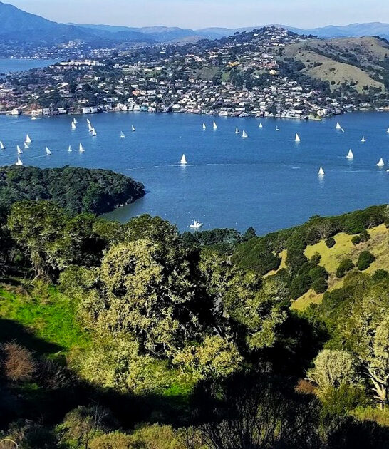 perfect park state california ftr
