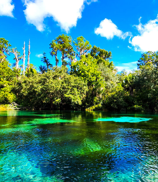 perfect peaceful park florida ftr