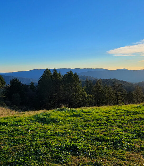 perfect scenic california park ftr
