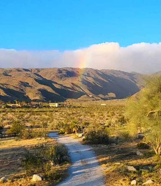perfect state park california FTR