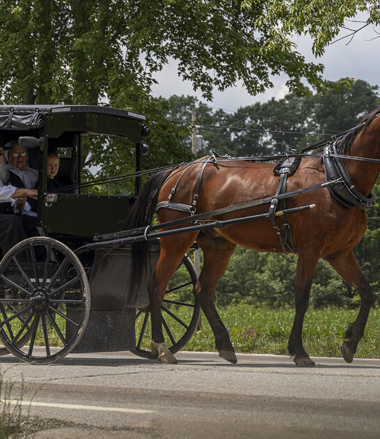 photogenic amish city ohio ftr