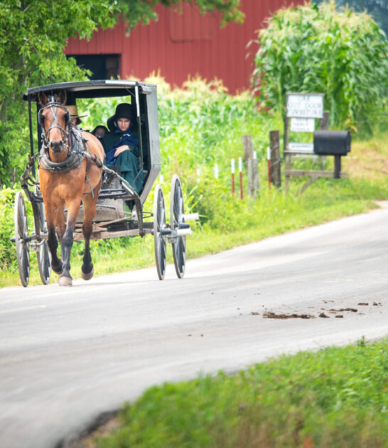 photogenic amish city tennessee ftr