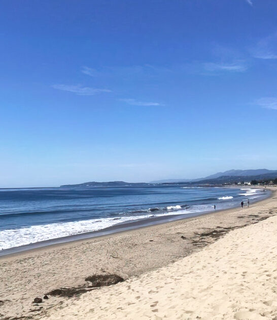 photogenic beautiful beach california ftr