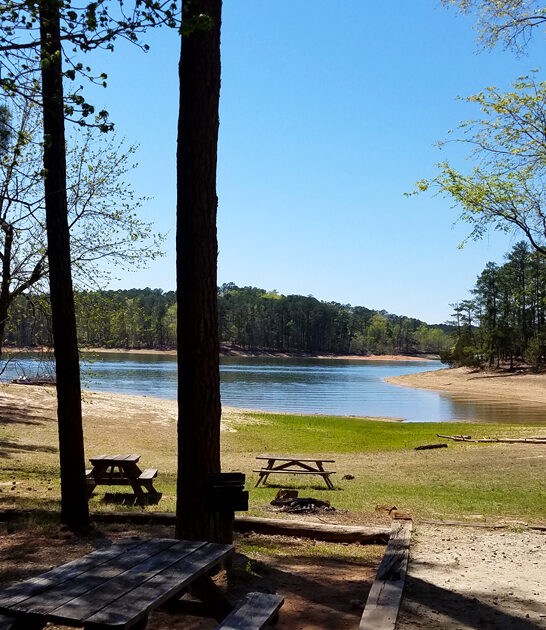 photogenic park south carolina ftr