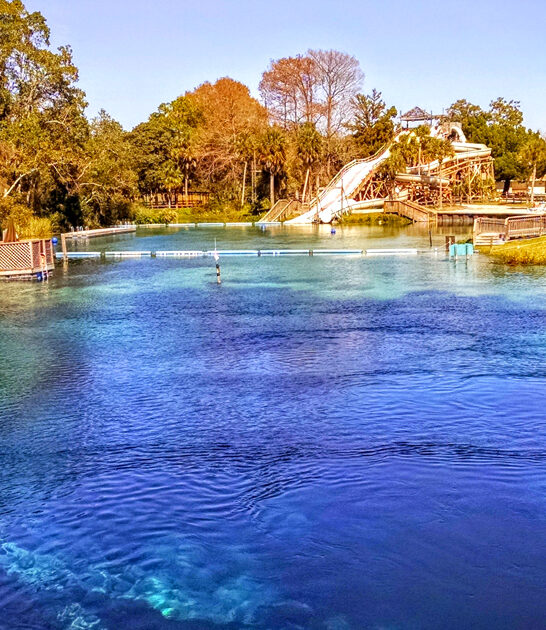 picturesque peaceful park florida ftr