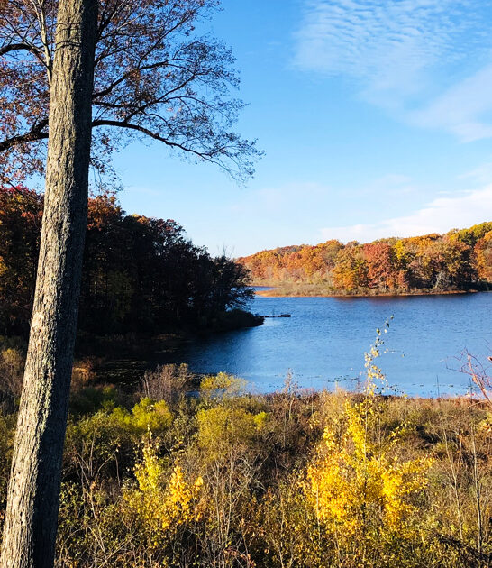picturesque serene park ohio ftr