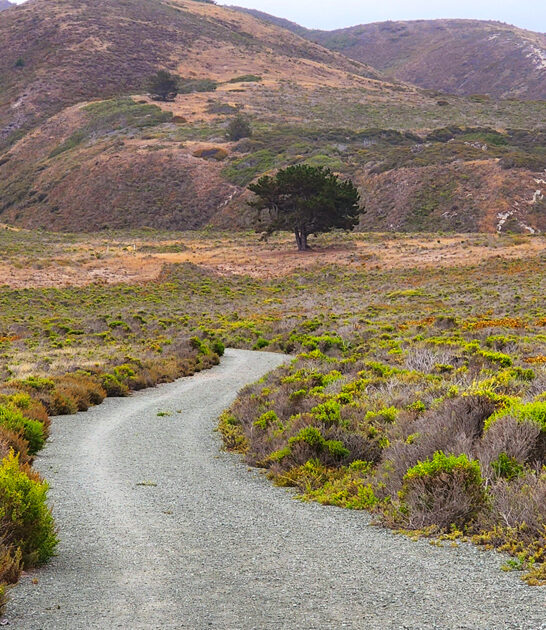 picturesque state california park ftr