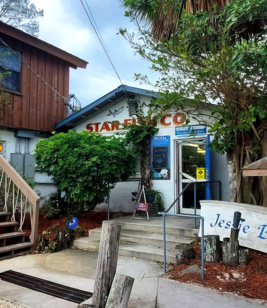 places florida delicious seafood ftr