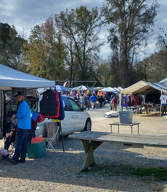 popular market north carolina FTR