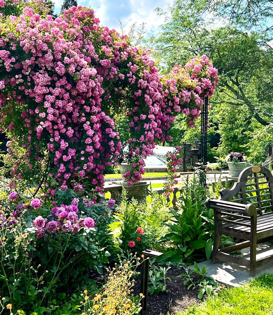 postcard garden pennsylvania beautiful ftr