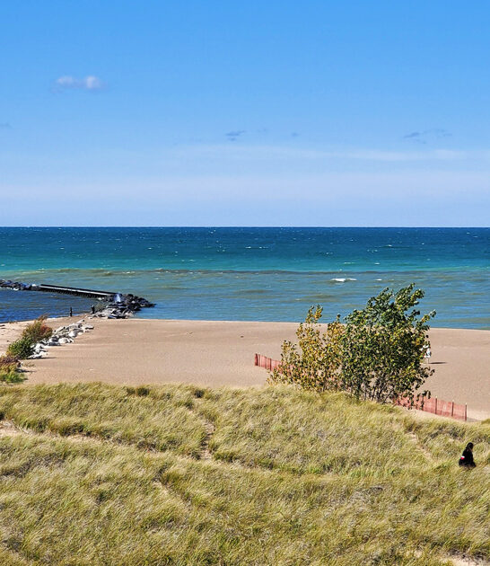 postcard michigan beach escape ftr