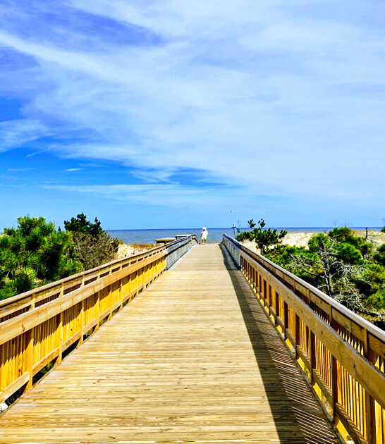 postcard park delaware drives ftr