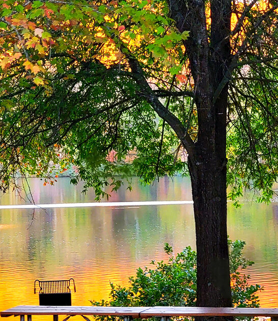 postcard park virginia state ftr