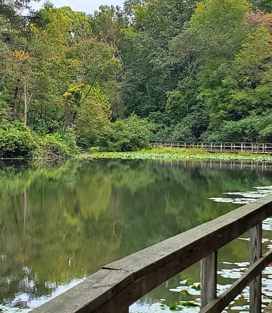 postcard perfect park virginia ftr