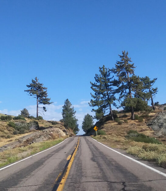 postcard worthy drive california ftr