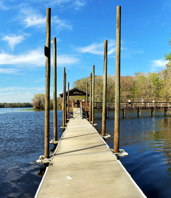 postcard worthy park florida ftr