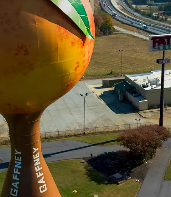 quirky roadside south carolina ftr