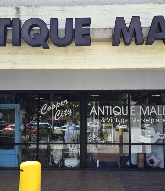 rare antiques florida store ftr