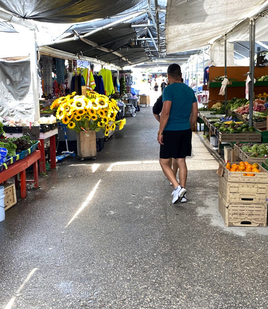 rarest collectibles florida market ftr