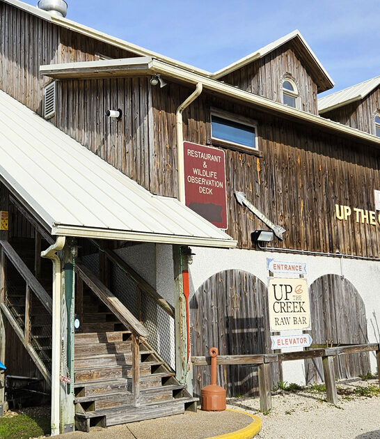 raw bar florida seafood ftr