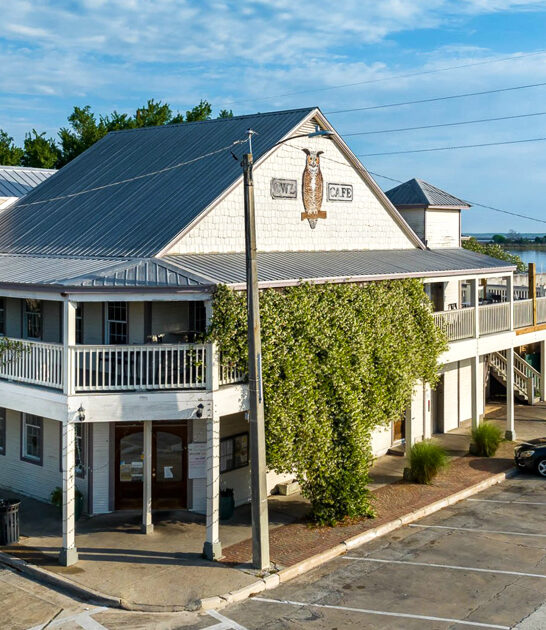 raw oysters cafe florida ftr