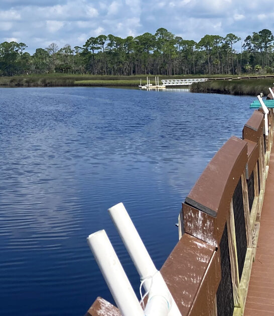 relaxing picturesque park florida ftr