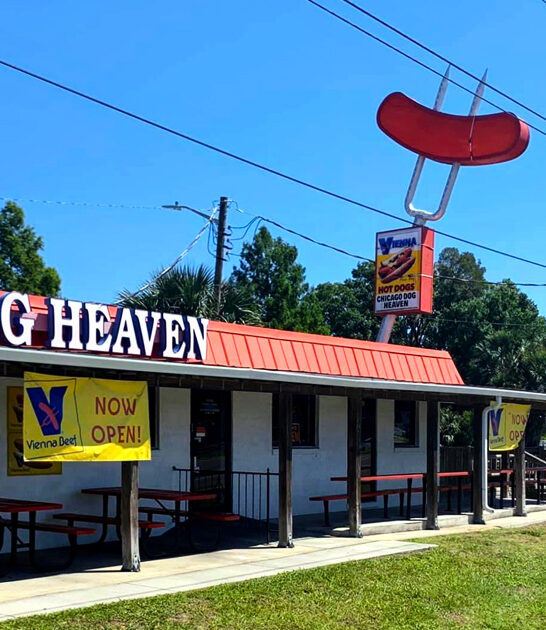 remarkable chicago dog florida ftr