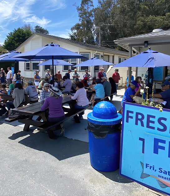 restaurant california crab rolls FTR