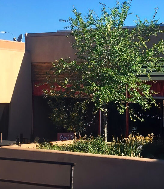 restaurant new mexico burgers ftr