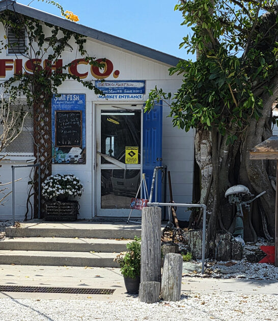 restaurants florida seafood world ftr