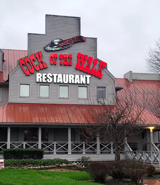 restaurants tennessee seafood succulent ftr