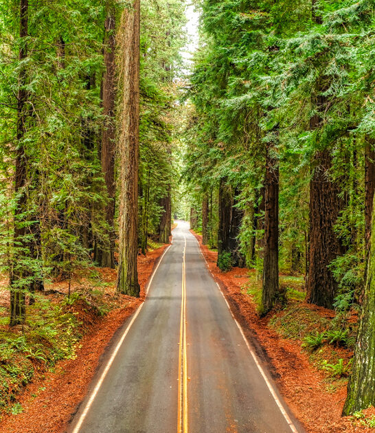 road trip california beautiful ftr