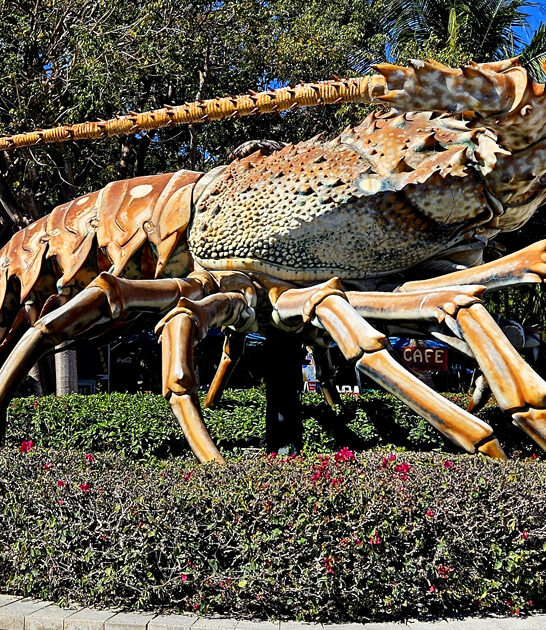 roadside attraction florida odd ftr