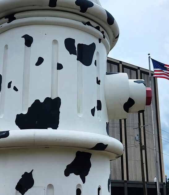 roadside attraction texas famous ftr