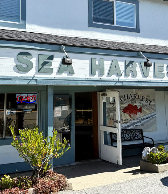 rockfish burgers spot california ftr