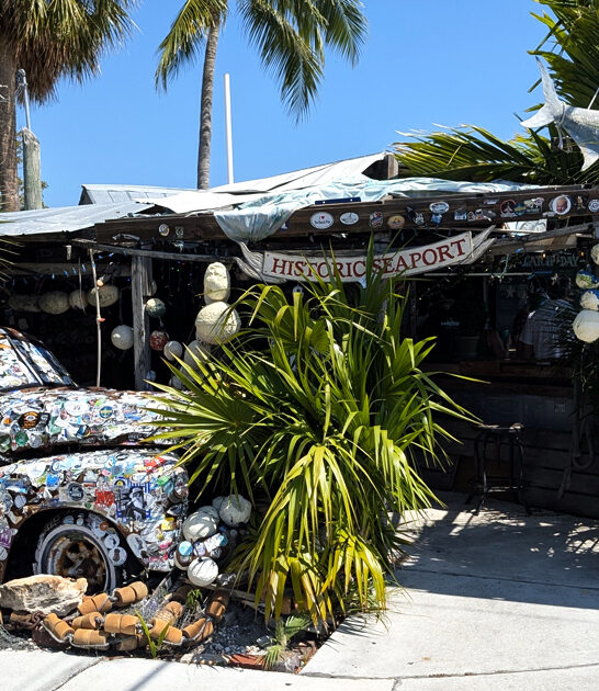 savory crab sandwich florida ftr
