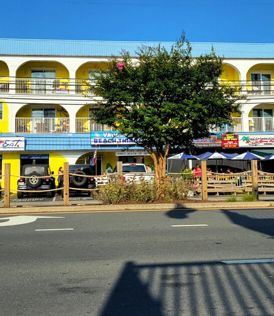 savory seafood delaware spot ftr