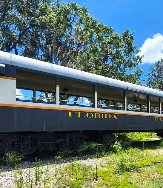 scenic florida train experience ftr