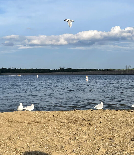 scenic ohio lake beach ftr