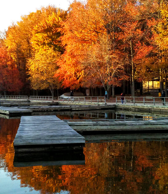 scenic park delaware surreal ftr