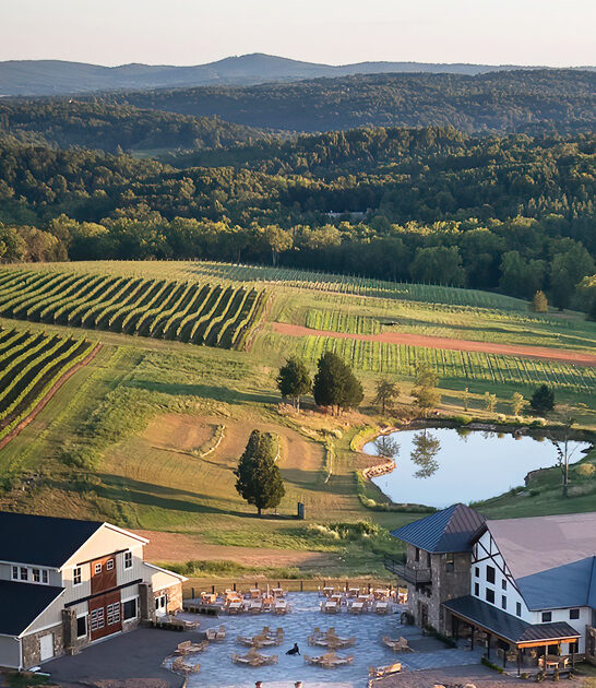 scenic vineyards virginia exceptional ftr