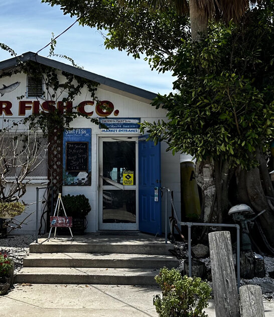 seafood restaurants drive florida ftr